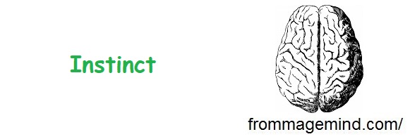 Instinct – From Mage Mind