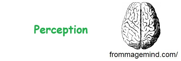 Perception – From Mage Mind